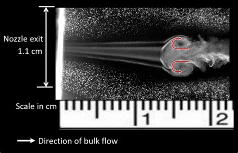Visualization Of Swirling Jet With Flow Recirculation Download