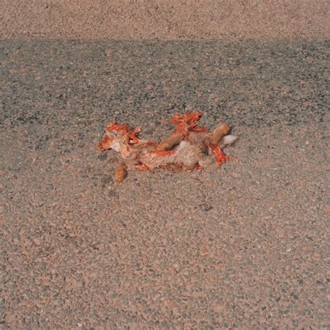 Anthony Geraces Lands End Photography Of Pre Brexit Cornwall