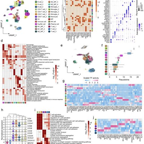 Association Of Single Cell Transcriptomic Profiles With Complex Download Scientific Diagram