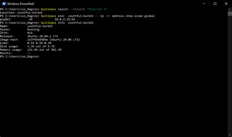 Bridging Not Working On Windows With Virtualbox · Issue 2189 · Canonicalmultipass · Github