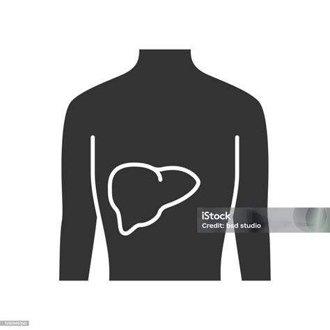 건강한 간 문말 아이콘 건강에 좋은 인간의 기관 사람들의 웰빙 기능 소화 선 건강에 좋은 위장관 실루엣 기호입니다 음수 공간입니다 벡터 절연 그림 간 내부 기관에 대한 스톡
