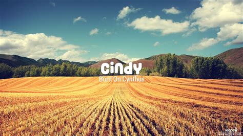 Cindy 3d Name Wallpaper For Mobile Write Name On Photo Online