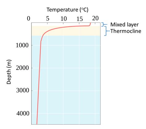 Ocean Density Stratification