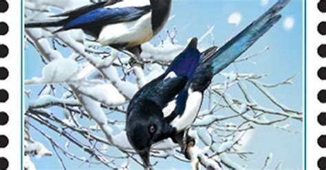 북한 국조 까치 우표 발행