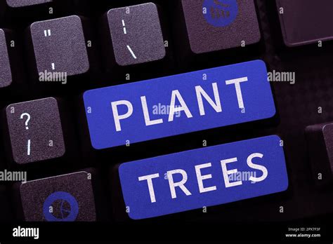 Writing Displaying Text Plant Trees Word Written On Process Of Planting A Tree For Land