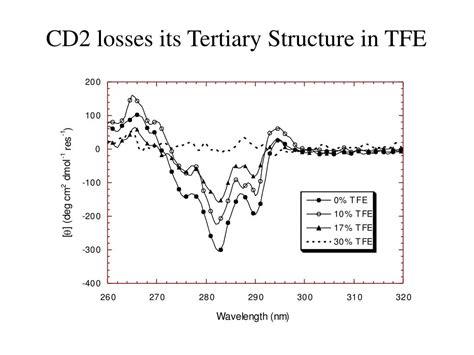 Ppt Structural Analysis Of Protein Structure Powerpoint Presentation