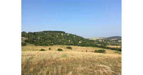 До края на юли се подават заявления за ползване на земеделска земя за 2020 21 г Български Фермер