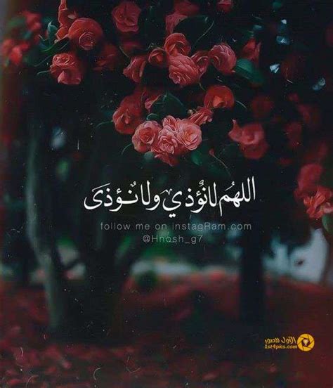 صور بروفايل 2024 اروع الصور بروفايل فيس بوك