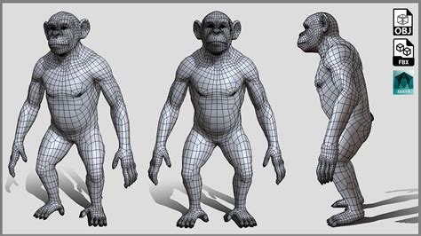 3d Primate Pack 2 Model Turbosquid 2096641