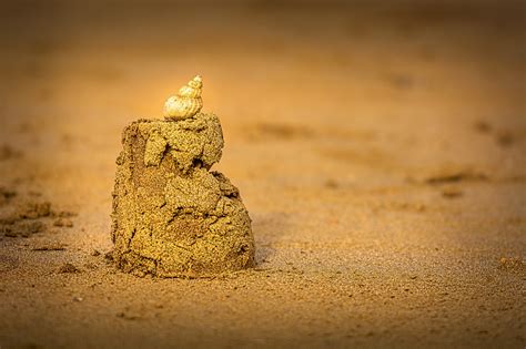 Shell And Sand Mark Geddis Photography Landscape Portrait