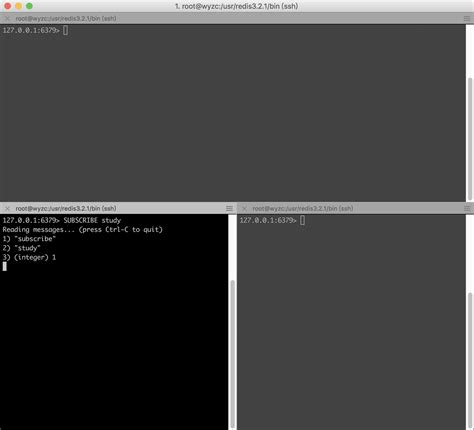Redis 订阅发布 Jedis实现 Csdn博客