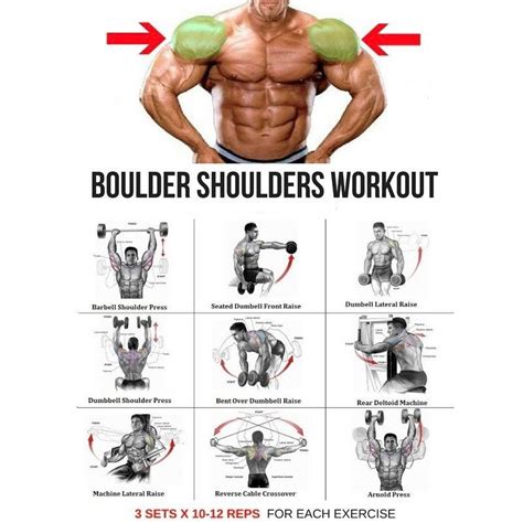Pin By Shumaki Shinge On Workout Shoulder Workout Boulder Shoulder