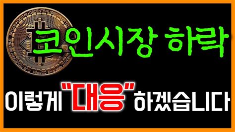 코인 하락 저는 이렇게 대응 하겠습니다 비트코인 이더리움 리플코인 도지코인 트론 저스트코인 비트코인골드 이캐시 오브스 Youtube