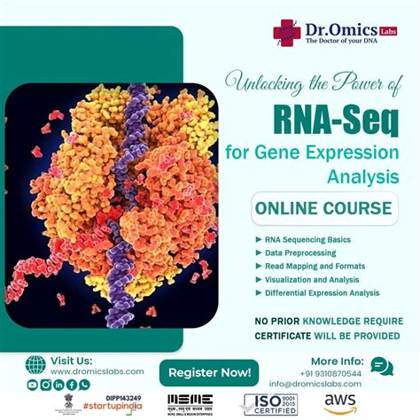 Dromics Labs Private Limited On Linkedin Job Bioinformatics Ngs Dna Sequencing Genomics