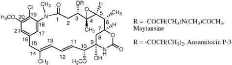 Structures Of Maytansinoids Download Scientific Diagram
