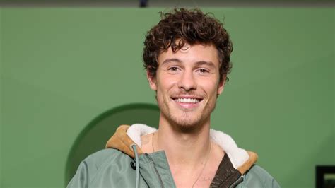 Shawn Mendes Working On A New Album Nearly 2 Years After Canceling