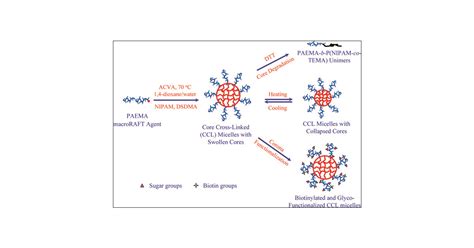 Degradable Thermoresponsive Core Cross Linked Micelles Fabrication
