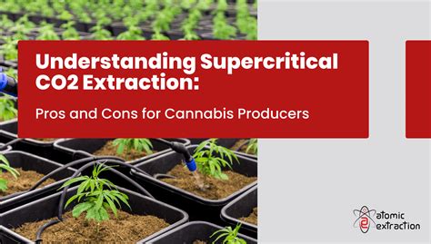 Understanding Supercritical Co2 Extraction Pros And Cons For Cannabis Producers Atomic Extraction