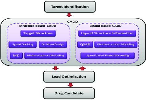 Methods In Computer Aided Drug Designing Cadd Download Scientific Diagram