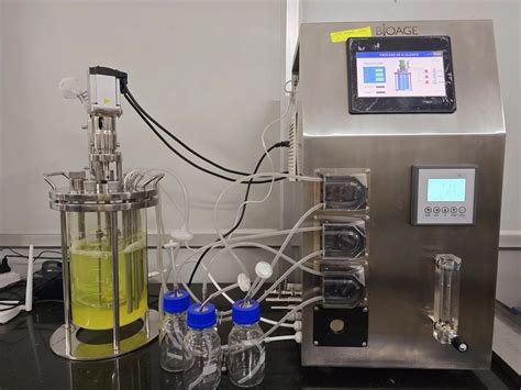 Single Use Bioreactor At ₹ 700000 Piece Mohali Id 2856475903330