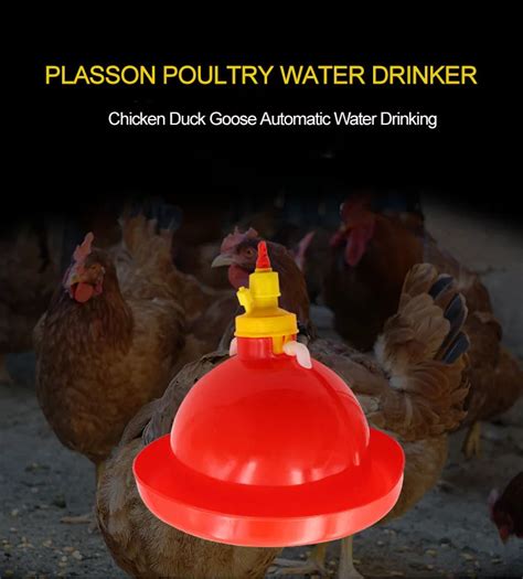 Poultry Chicken Plasson Bell Drinker Automatic Waterer