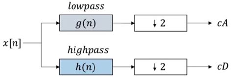 Discrete Wavelet Transform Download Scientific Diagram