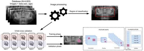 Model Structured For This Study Showing The Workflow From Sampling Download Scientific Diagram