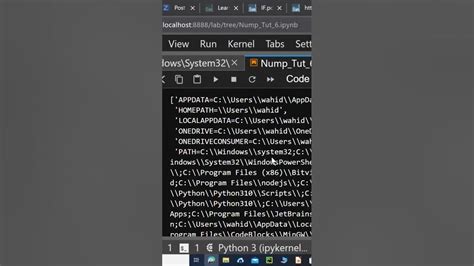 Use The ‘ To Executerun Any Os Commands Inside Jupyter Lab And