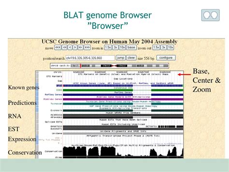 Ppt Visualization Of Genomic Data Powerpoint Presentation Free