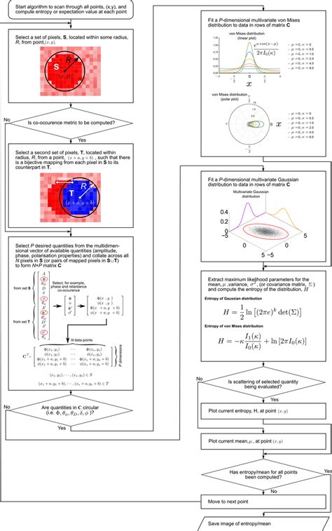 algorithm detailing how entropy and expectation metrics are computed