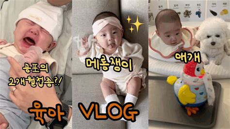 육아 브이로그 공포의 2개월 예방접종 후기🔥 I 요즘 하는 특기 메롱😝 I 귀여운 애개육아 일상 I 강아지 I 요리 I 병원