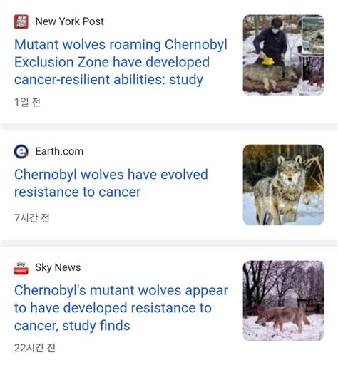 체르노빌 돌연변이 근황 