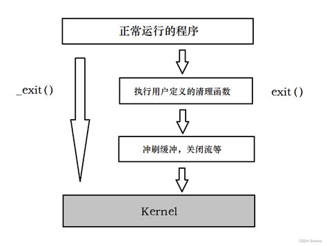 linux 进程创建 进程等待 进程终止 程序替换 linux进程创建过程 csdn博客