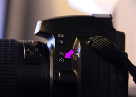 Nikon Newbie Nikon D40x Features