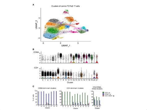 Single Cell Rna Sequencing Analysis Of Tcrab T Cells Purified From Download Scientific