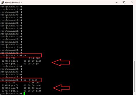 Ps Command In Linux To View Process Information