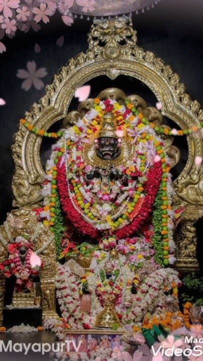 Shri Narsingh Chalisa Shorts Youtubeshorts Youtube