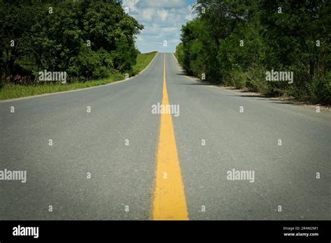 Picturesque View Of Empty Road Near Trees Stock Photo Alamy