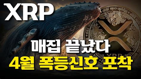 리플 고래 매집 종료 시그널 떳네요ㅎㅎ 이제 폭등 임박입니다 Youtube