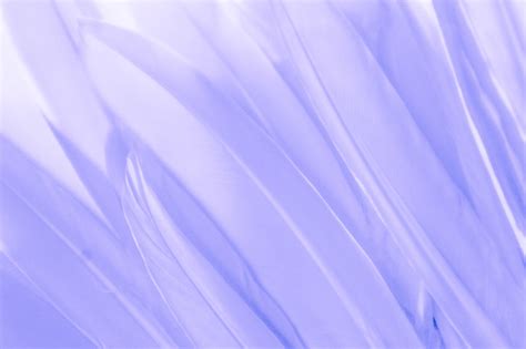 화려한 배경에 아름다운 추상 적색 흰색 보라색 파란색과 밝은 오렌지 깃털과 흰색 패턴에 부드러운 흰색 핑크 깃털 질감 검은색에 대한 스톡 사진 및 기타 이미지 Istock