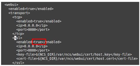 Setting Up Nso Pnp Server With Isr Cisco Community