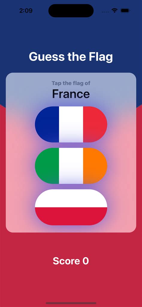 github cannt39t guess the flag swiftui