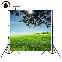 Купить Allenjoy фон для фотосъемки тараксум officinale цветы Луг желтые ...