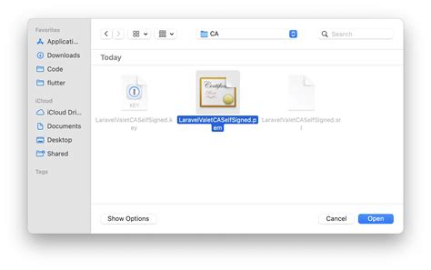fix secure connection failed when using laravel herd or valet with firefox