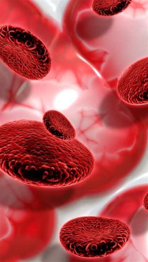 डेंगू मलेरिया ही नहीं इन कारणों से भी हो सकती है प्लेटलेट्स की कमी