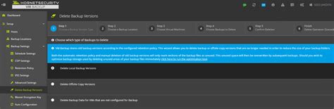 How Can I Manually Delete Older Versions In The Backup Set