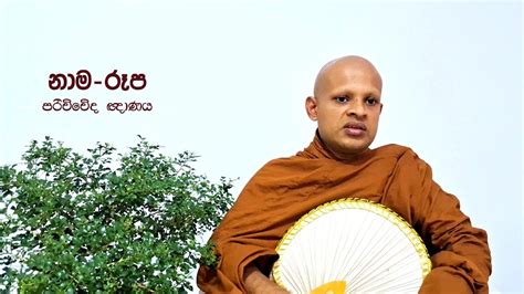 නාම රූප පරිච්චේද ඥාණය Youtube