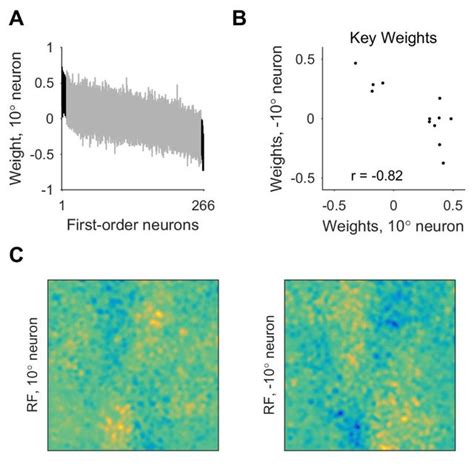 Modeling Framework For First Order Tactile Neurons A Receptive Field Download Scientific