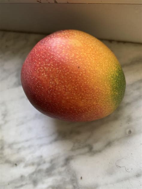 What Kind Of Mango Is This West Central Florida Rmango