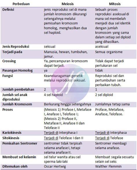 Perbedaan Mitosis Dan Meiosis